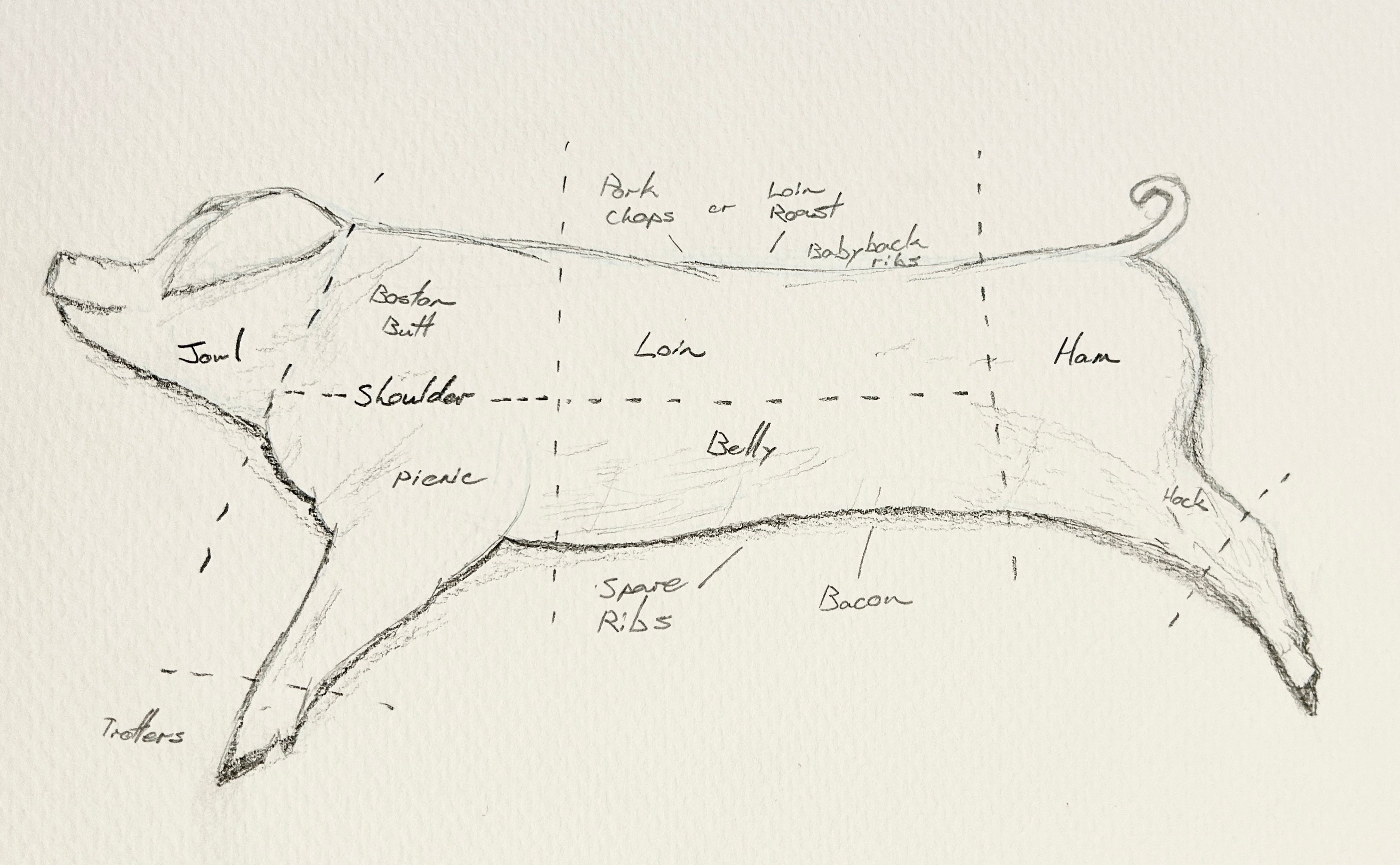 A Guide to Pork Cuts: Understanding where each cut comes from – Ex ...