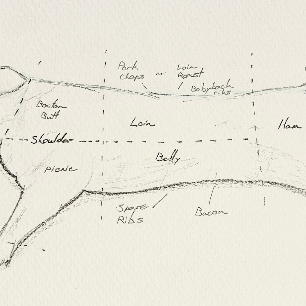 A Guide to Pork Cuts: Understanding where each cut comes from – Ex ...