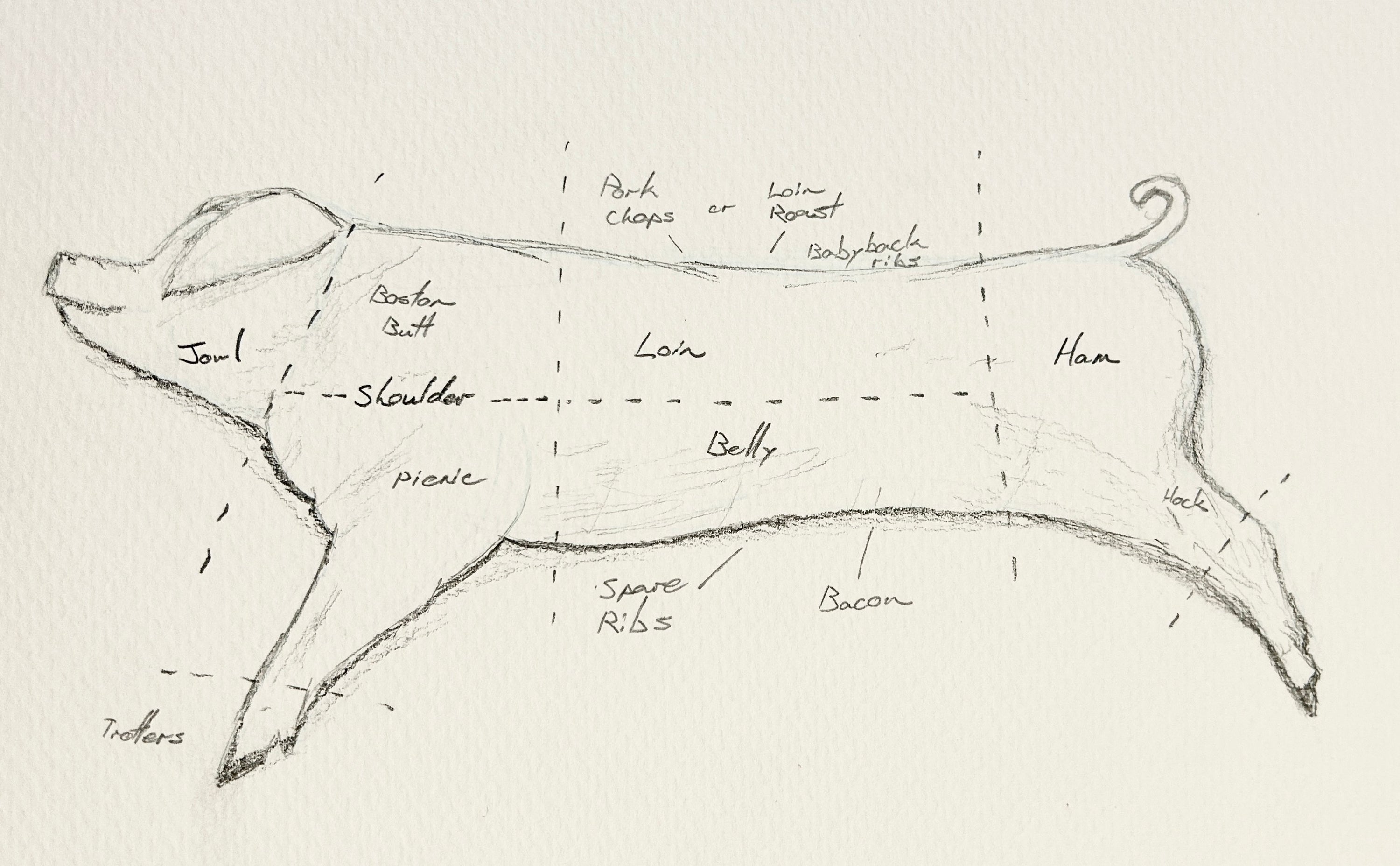 A Guide to Pork Cuts: Understanding where each cut comes from – Ex ...
