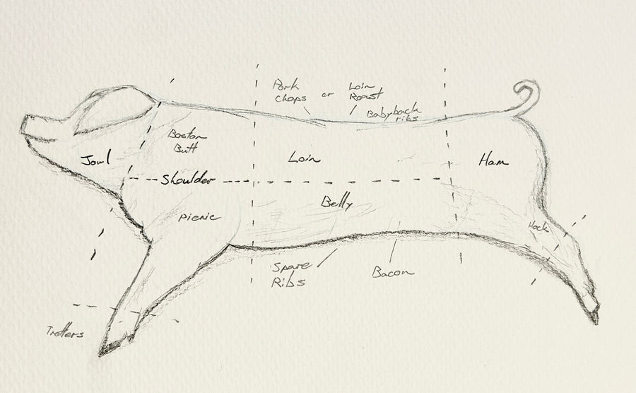 A Guide to Pork Cuts: Understanding where each cut comes from – Ex ...